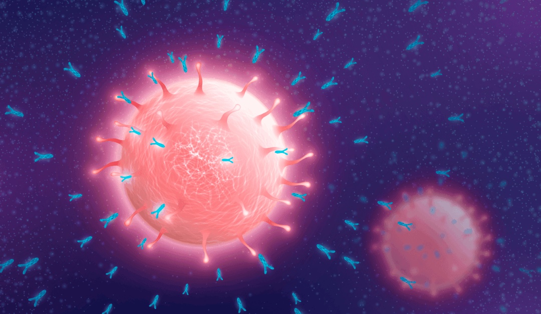 Maladies auto-immunes : le lupus